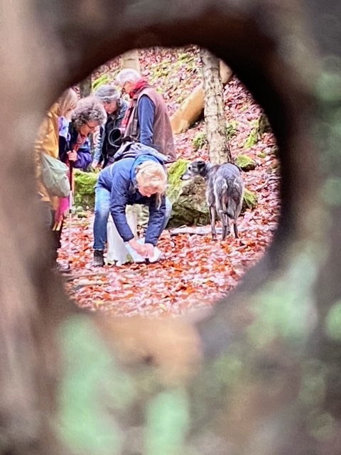 Blue Rock Trail Creative Walk – Canopy Creative Network