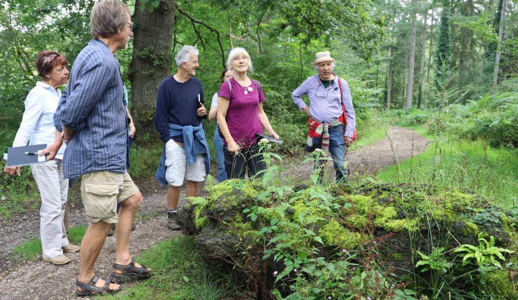 West Dean Creative Walk Project – Canopy Creative Network