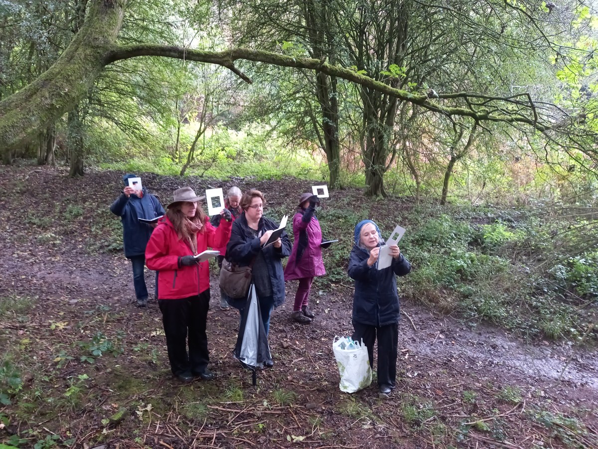 Cinderford Creative Walk Project – Canopy Creative Network