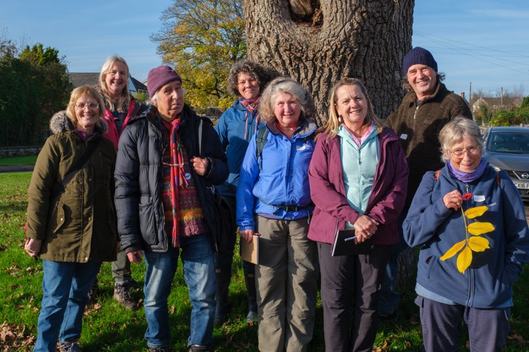 Creative Walks in Nature – Canopy Creative Network