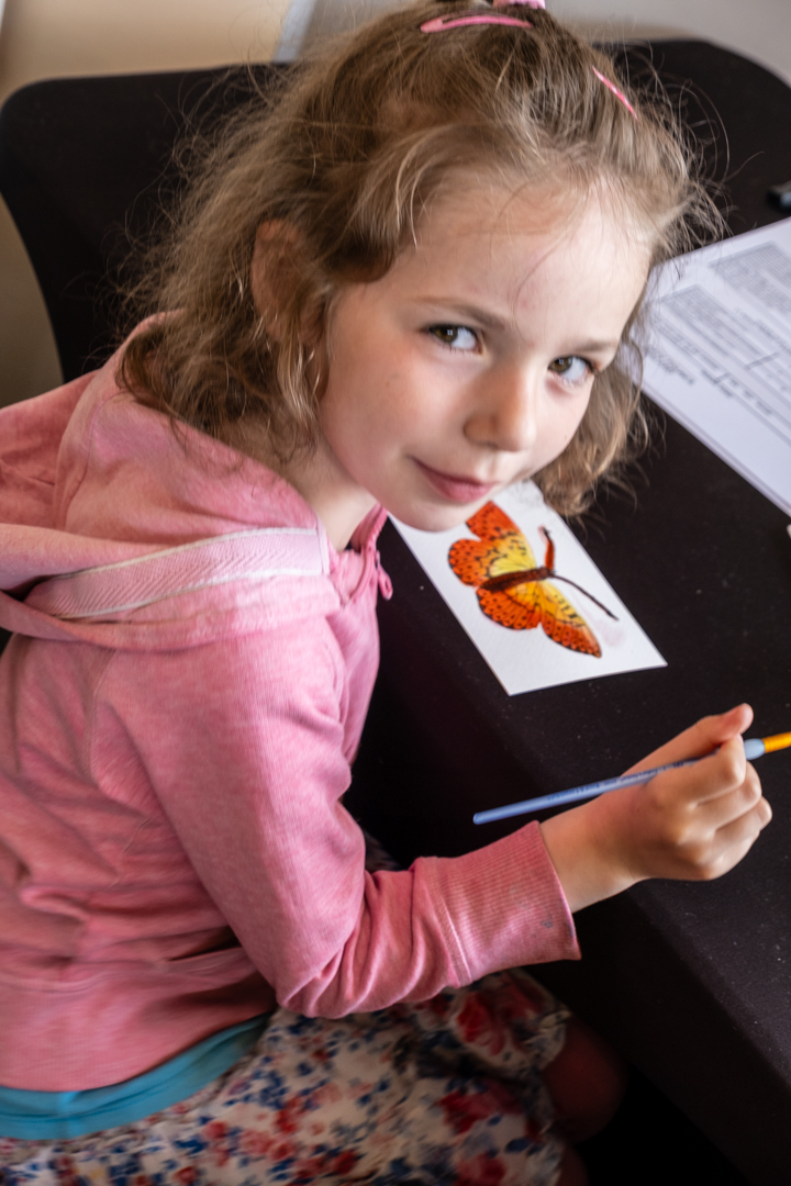 Newent artsFEST 2025 – Canopy Creative Network